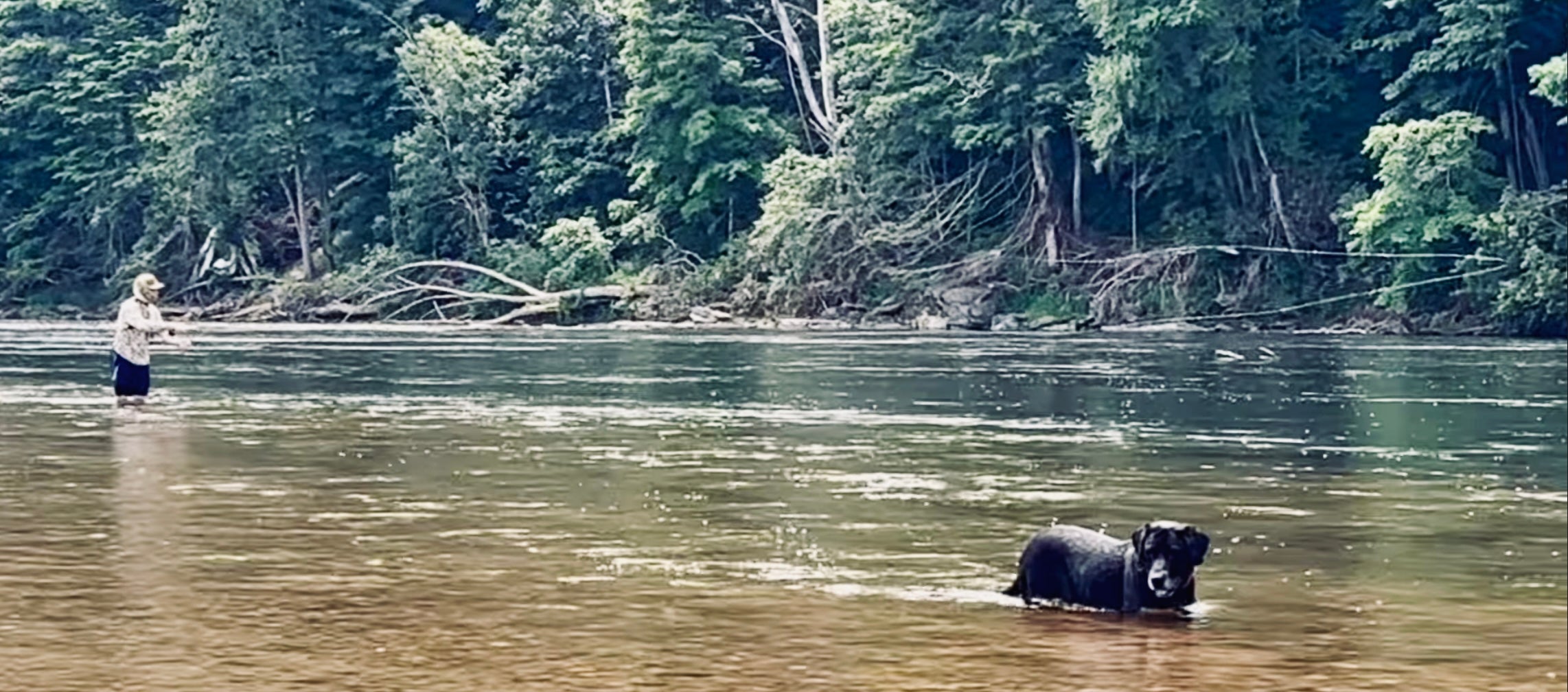Southern Fly Fishing